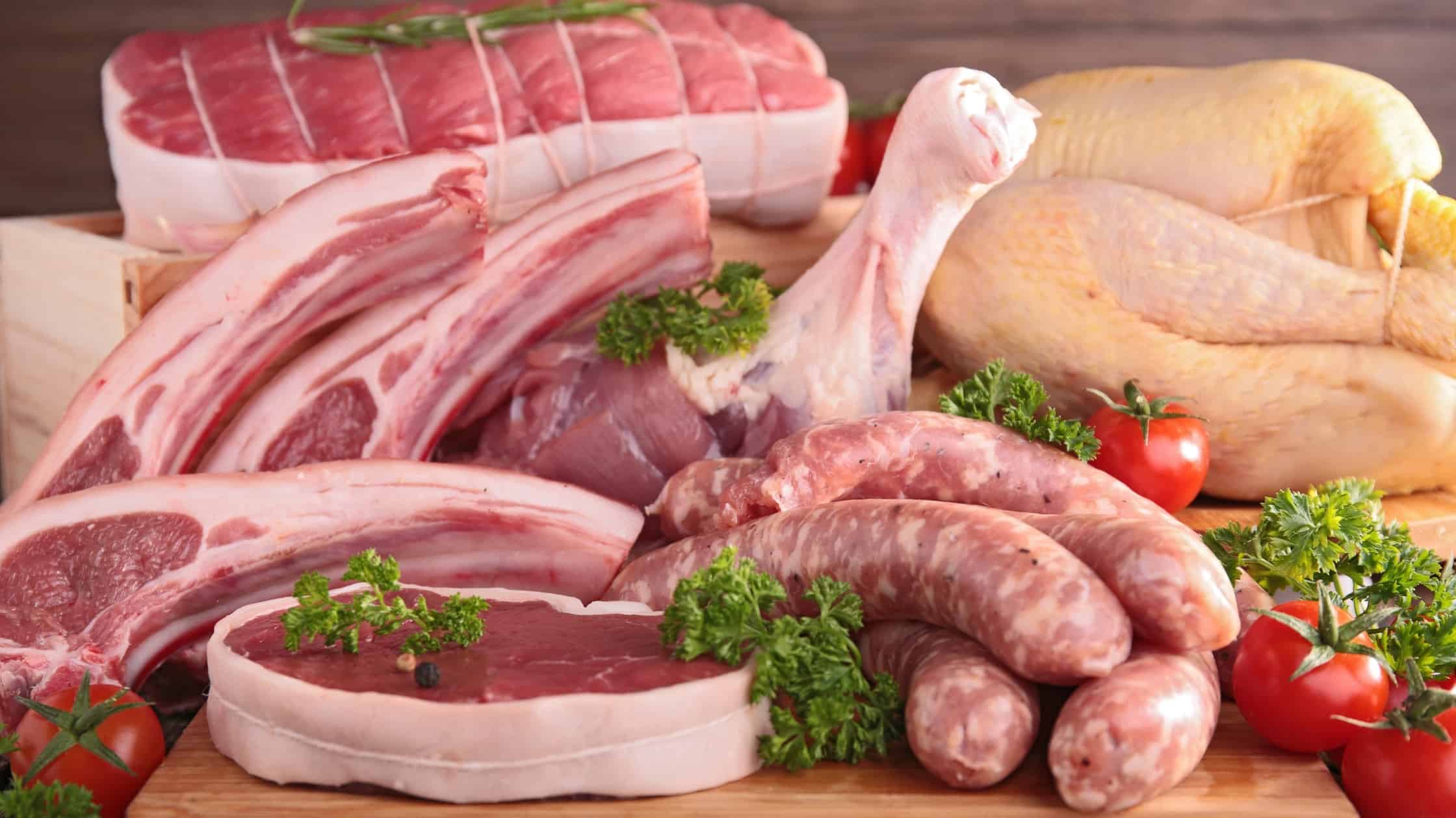 What Foods Are Good For Dogs?